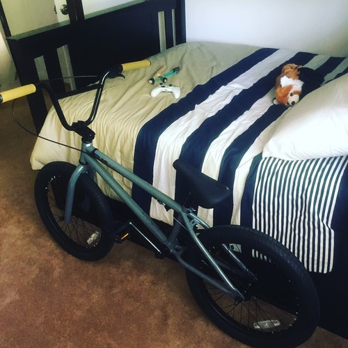 Redline Romp Freestyle 20 Inch BMX Bicycle Grey 2017 for sale online | eBay