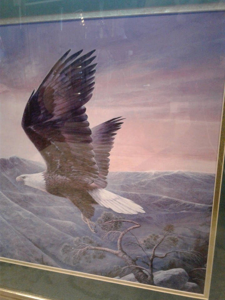 Ruane Manning Eagle Print | eBay