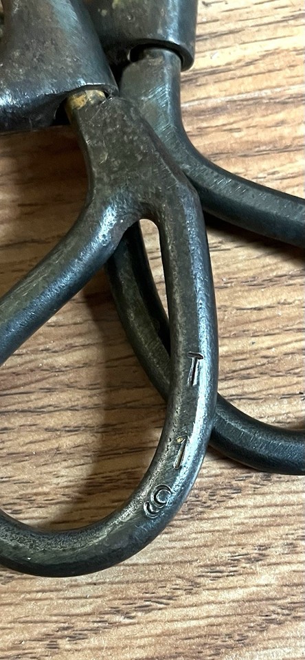 5.5”. Western Dutton Dog Bone Teardrop Horse Colt Draft Training Bit | eBay