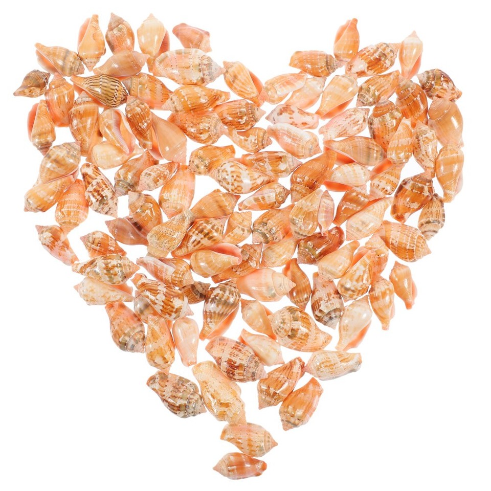 100 Pcs Diy Conch Decor Sea Shells for Decorating Party Decorative ...
