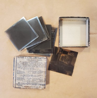 Ilford Special Lantern Plate 9 Glass dry plate negatives, dogs, people ...