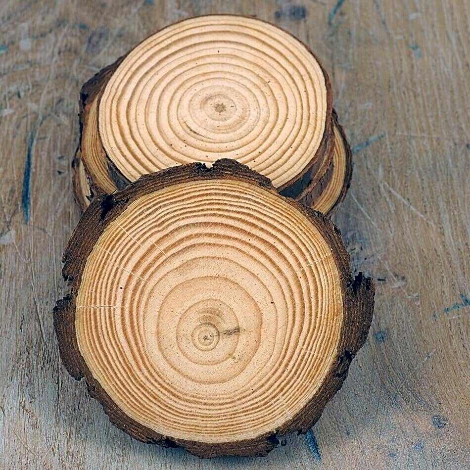 Natural Wood Log Slices Christmas Name Tags Decorations 6-20 cm, Wooden ...