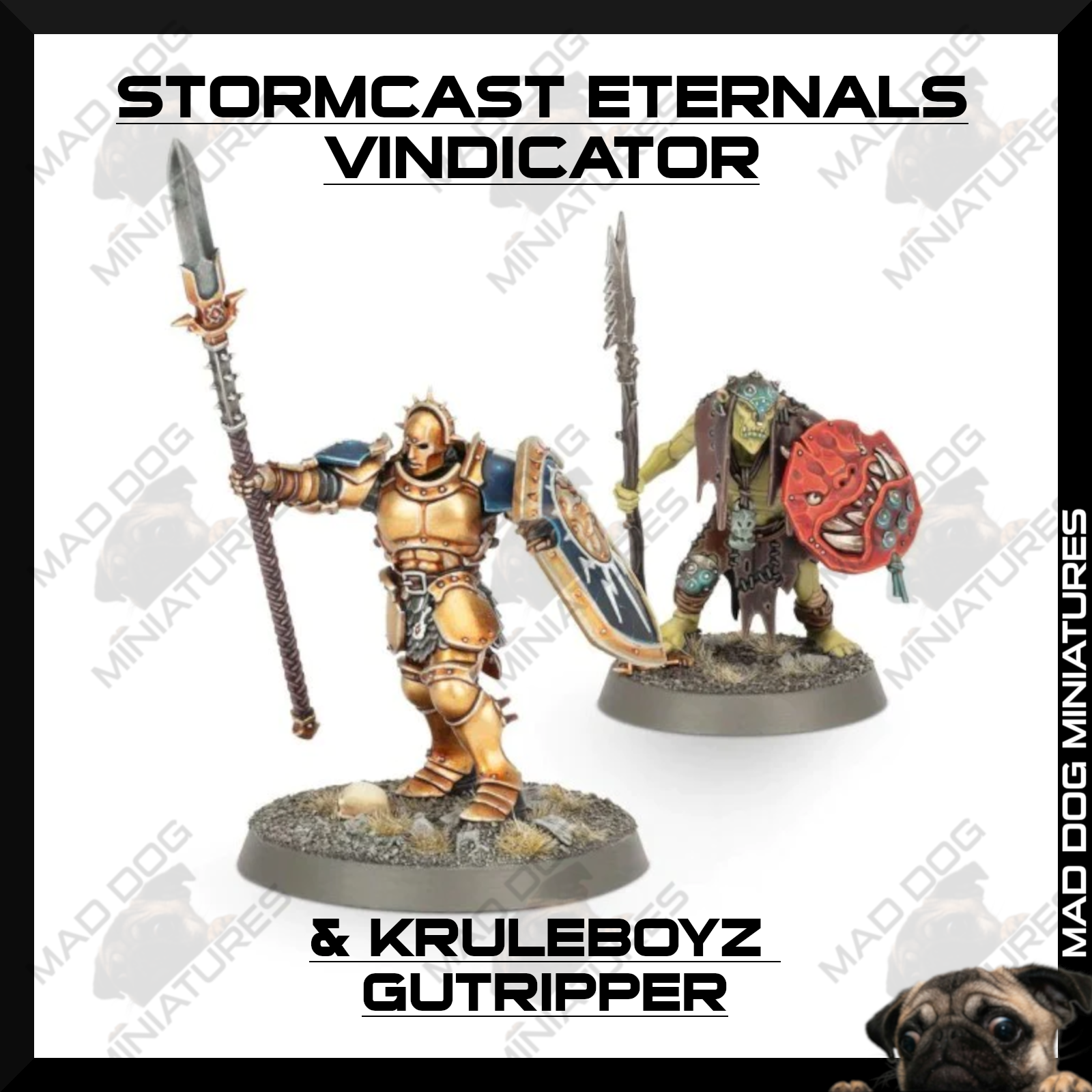Warhammer Age of Sigmar Push Fit Stormcast Vindicator & Kruleboyz ...