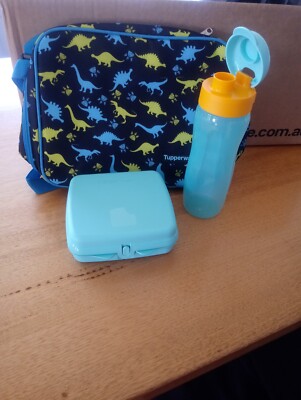 Tupperware Dinosaur Lunch Bag Set Sandwich Keeper And 500ml Ecobottle ...