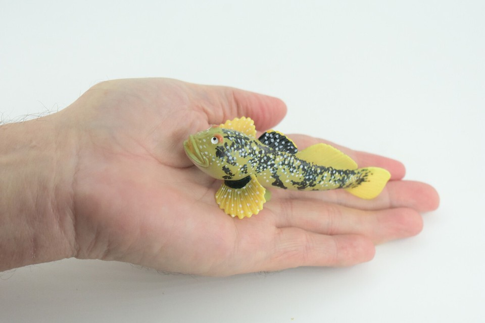 Lingcod Fish Toy, Realistic Hand Painted Rubber Fish Cod, Model 4.5 ...