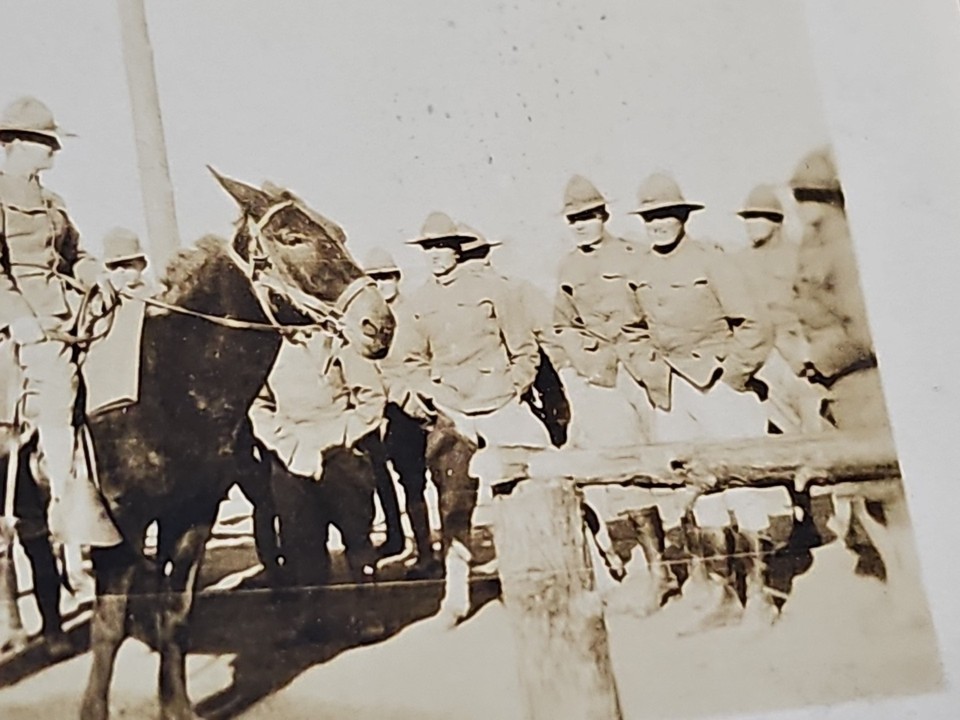 WW1 Photo - US Army Soldier Mounted Horse Cavalry Artillery Men ...