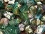 1000 Carat Lots of Fancy Jasper Rough - Plus a FREE Faceted Gemstone | eBay
