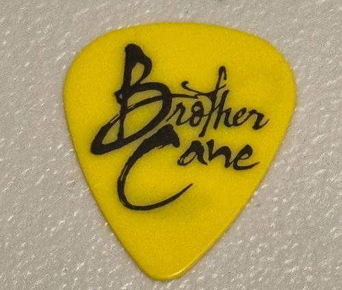 Brother Cane Damon Johnson Signature Guitar Pick Concert Tour Stage ...