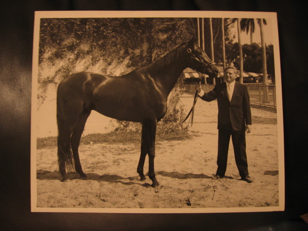 Carry Back Thoroughbred Horse Racing Kentucky Derby Jack Price Original ...