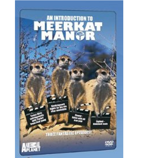 Meerkat Manor Television Sheridan Tongue على X: "Meerkat Manor: