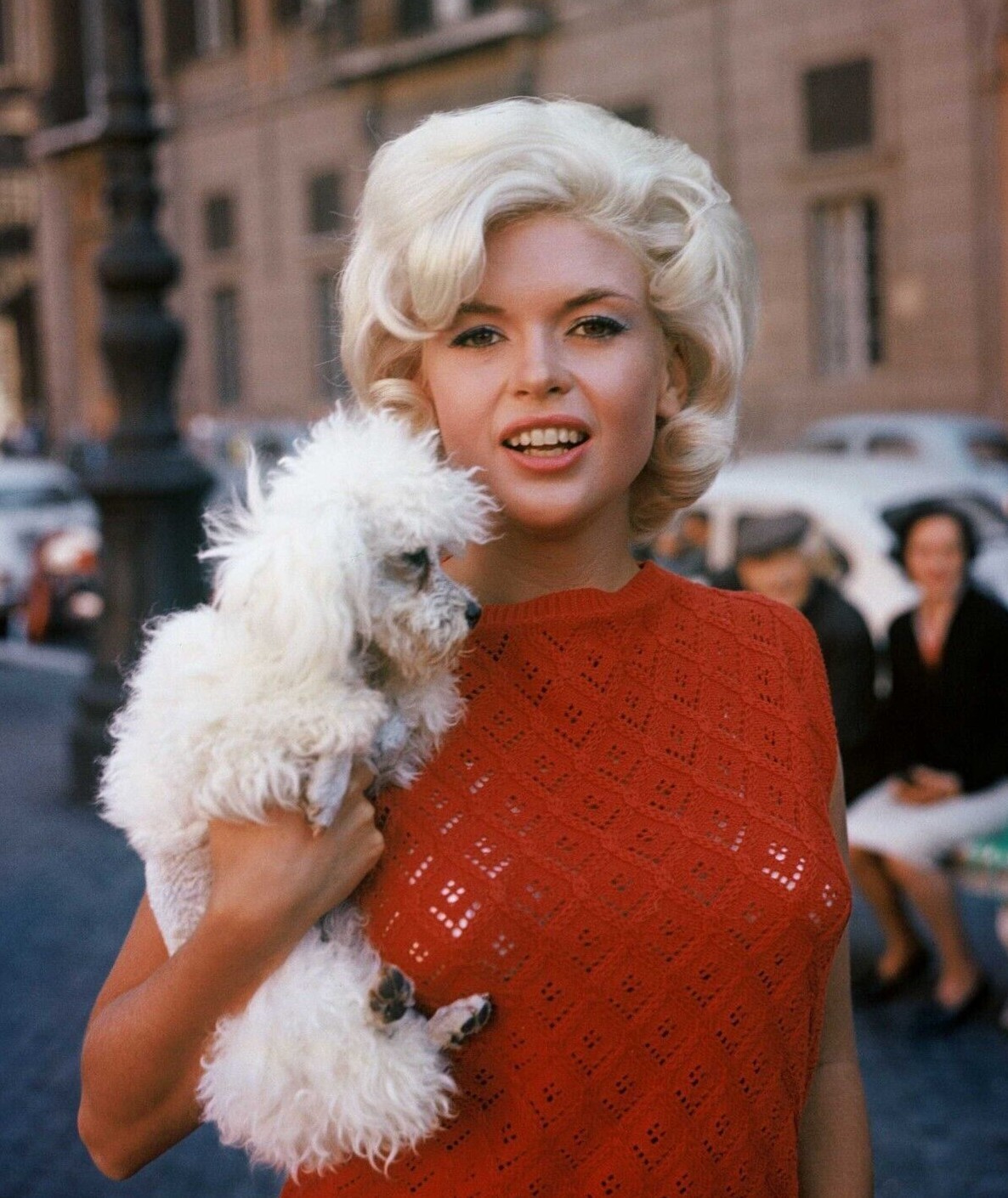 Actress JAYNE MANSFIELD and her Dog Publicity Picture Photo Print 24x36 ...