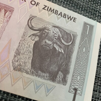 Buffalo 1 Dollar Zimbabwe Banknote 2007 (2008) Zimbabwean Currency ...