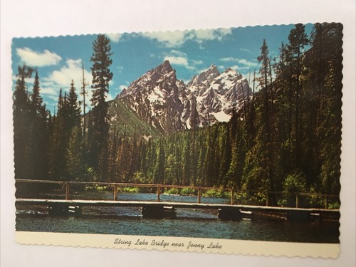 String Lake Bridge Near Jenny Lake Wyoming Postcard | eBay