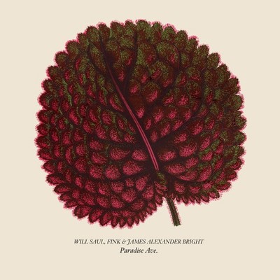 Vinile Nuovo - Fink Will Saul & James Alexander Bright - Paradise Ave ...