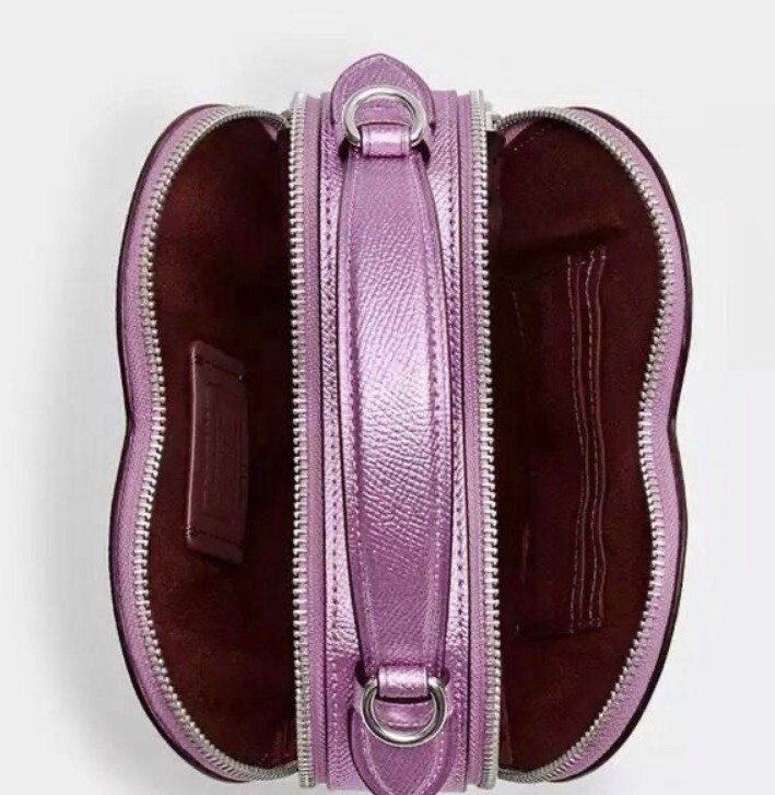Coach Shimmer Lilac Heart NWT Crossbody Leather Purse | eBay