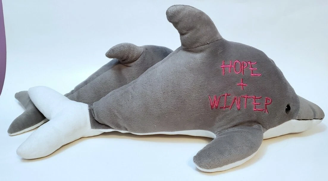 Winter Dolphin Tale Toys