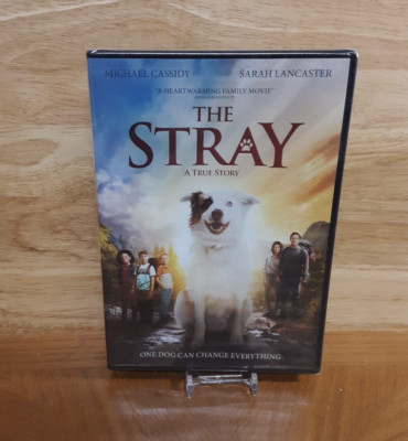 The Stray DVD New / Sealed Sarah Lancaster | eBay