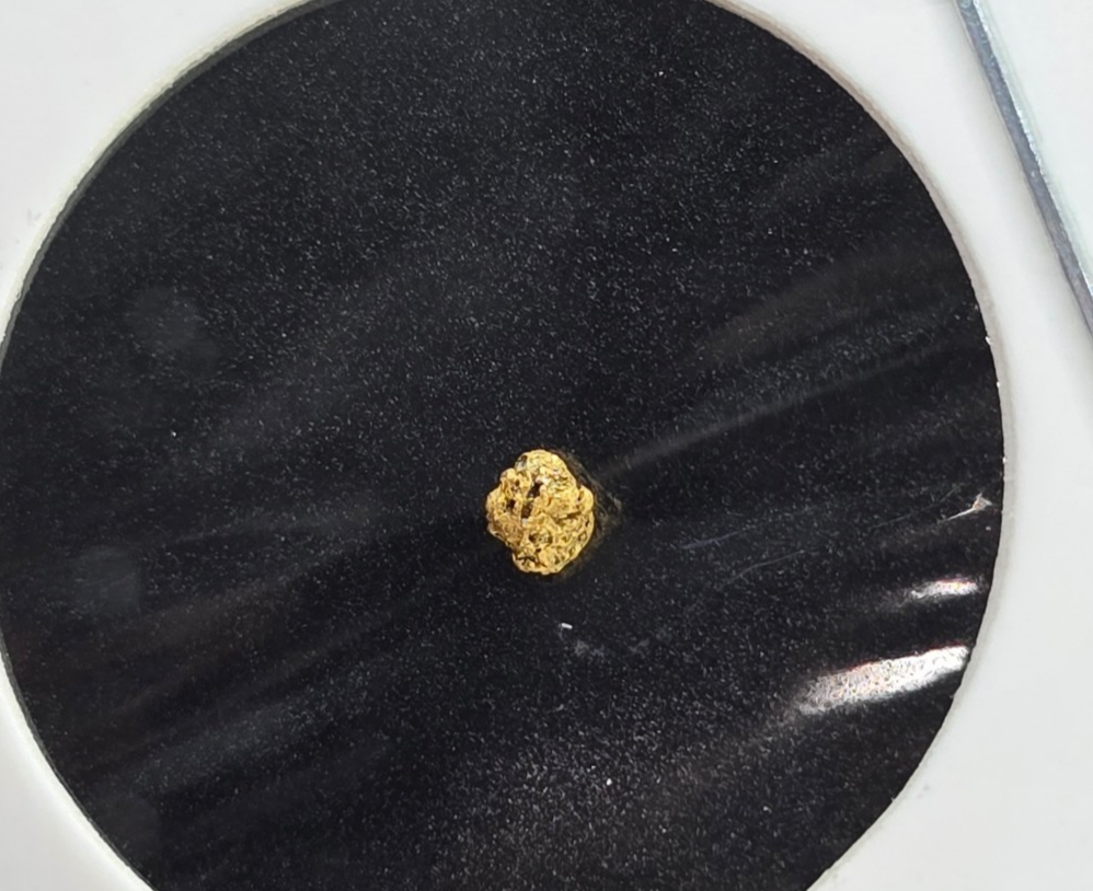 **TINY GOLD NUGGET .028 GRAMS NATURAL DAYTON NEVADA NV BULLION SCRAP ...