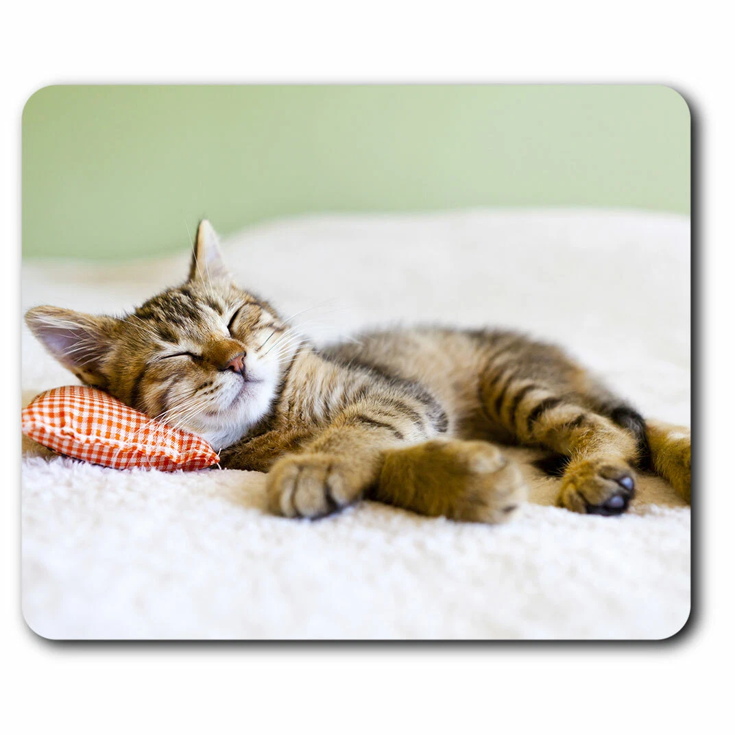 Sleepy Kitten Computer