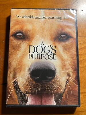 NEW A Dog's Purpose DVD 25192395543| eBay