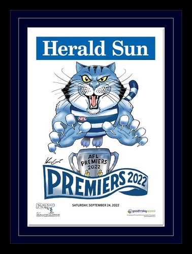 MARK KNIGHT FRAMED OFFICIAL 2022 GEELONG AFL GRAND FINAL PREMIERSHIP ...