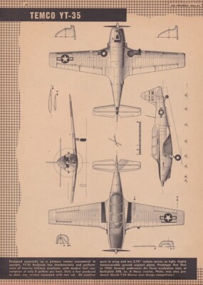 Temco T-35 Buckaroo Aircraft Report 11/10/2023a | eBay