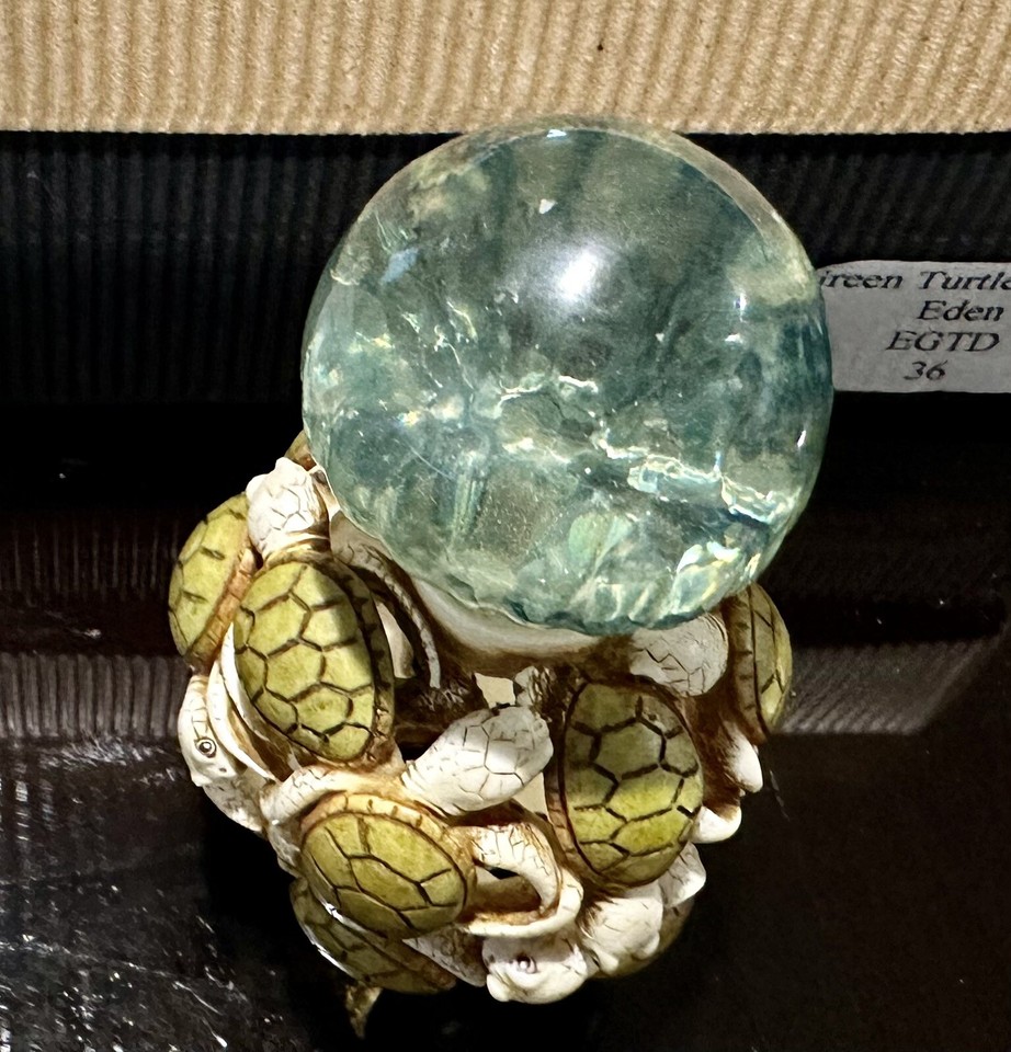 Adam Binder Green Shell Turtle Delight #36/50 ULTRA RARE 2004/05 ...