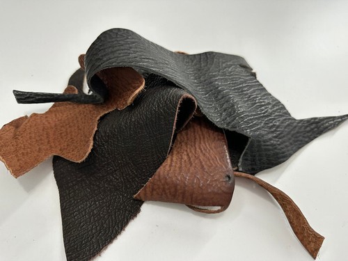 Genuine Shark Scraps Remnant Hide Leather Skin fish salmon remnants ...