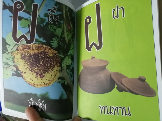 Thai Alphabet Book Read Beginner Kids Learn Study Language Young ...