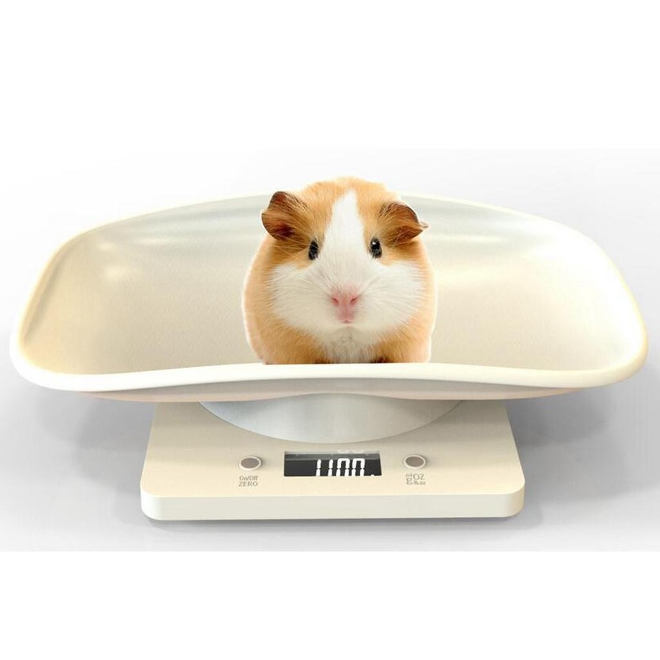 Pet Scale Small Animals Cat & Dogs Digital Weight for Small Pet | eBay UK