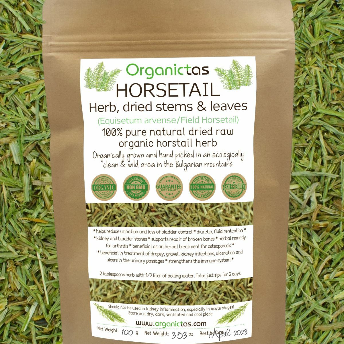 Horsetail Equisetum Labeled