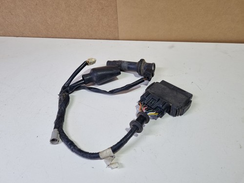 Yamaha YZ250F 2009 CDI Box ECU Computer Wiring Harness Coil 2006-2009 ...
