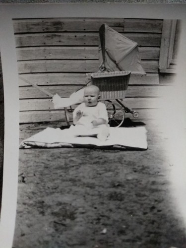 Vintage Black And White Photo Young Baby Boy Lemoine Freshour Family ...