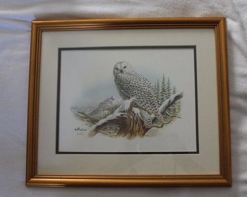 Don Balke Signed Snowy Owl Framed Lithographic Print with COA | eBay