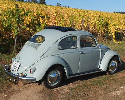 1957 VOLKSWAGEN "OVAL WINDOW" PHOTO (224-X) | eBay