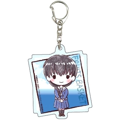Fruits Basket: Prelude Hanajima Saki Graph Art Design Acrylic Keychain ...