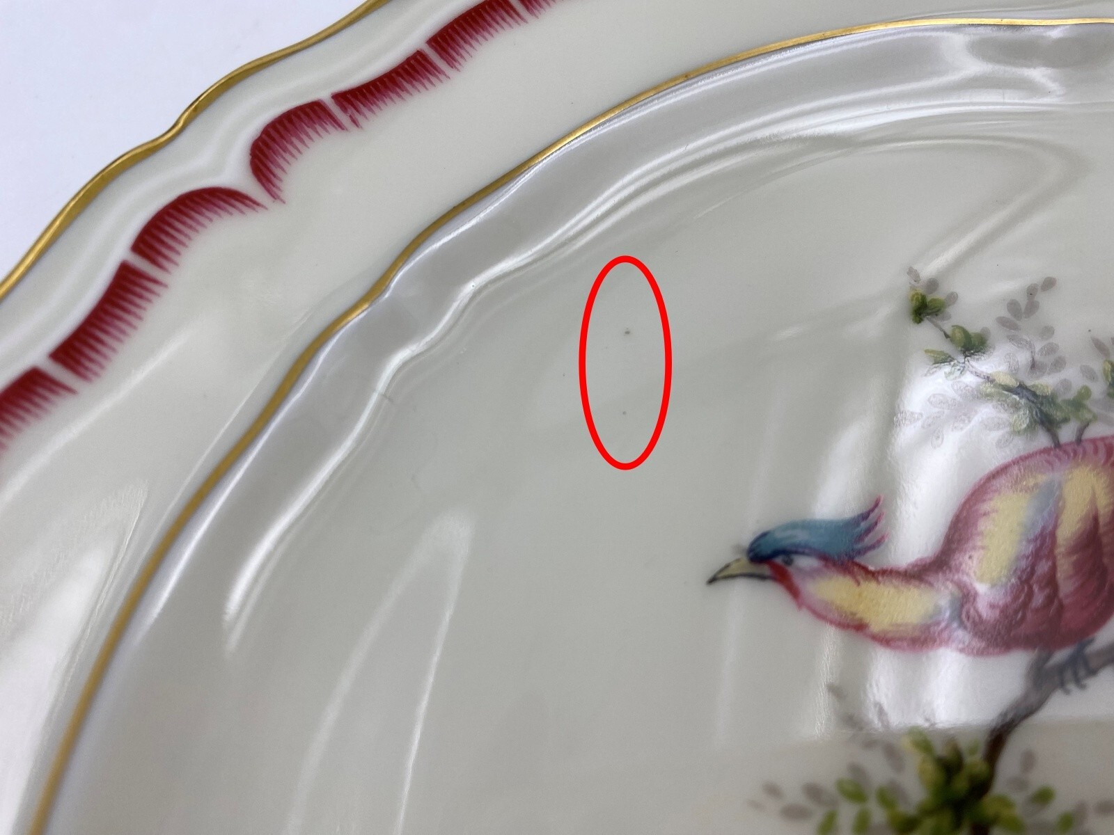 Raynaud & Co Limoges Luncheon Plates Birds of Paradise Argent Gorgeous ...