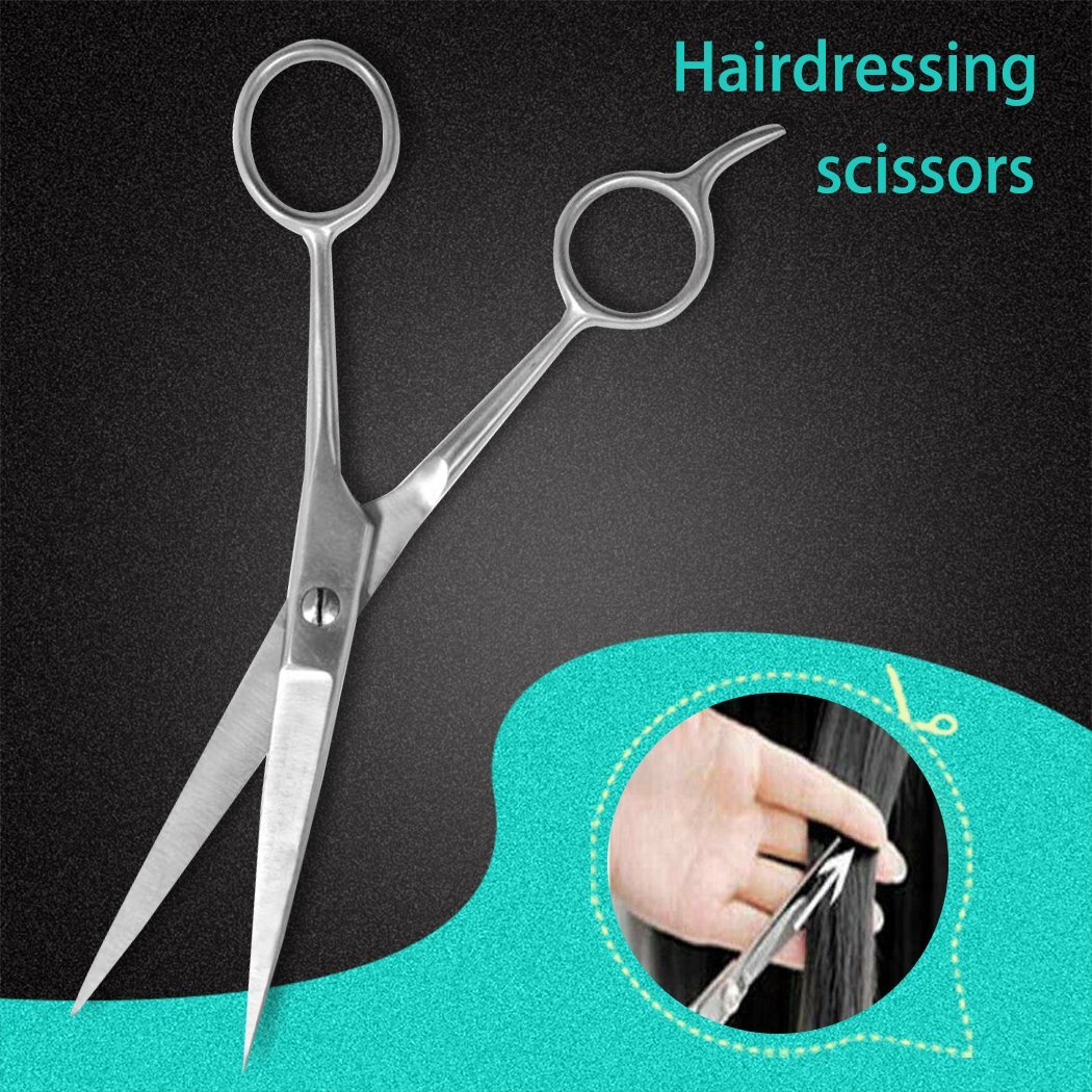 Professional Hairdressing Barber Salon Hair Scissors Shears Razor 6.5 ...