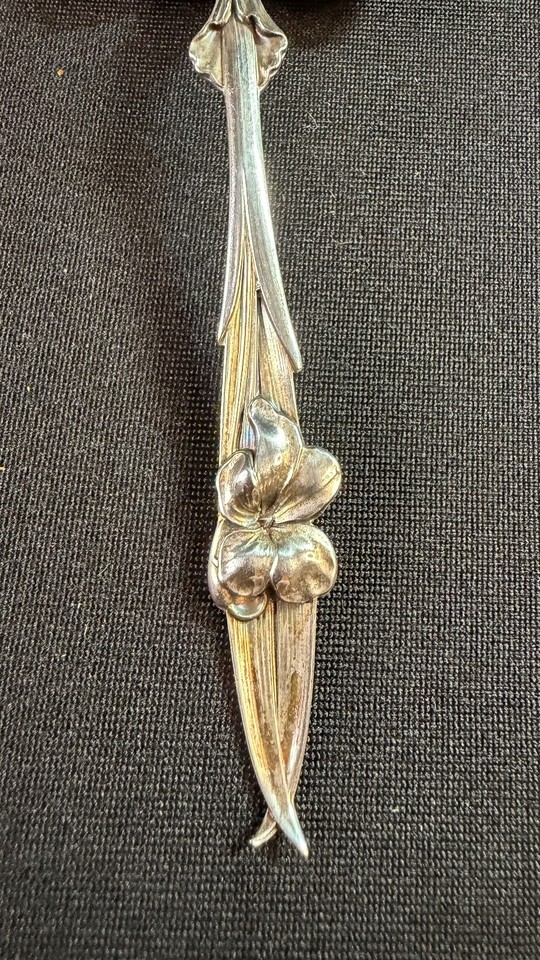 Antique Whiting Sterling Silver Bon bon Spoon Violet Orchid Pattern | eBay