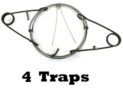 4 RBG #440 Round Body Grip Trap Bodygrip Trapping Supplies 4 Traps | eBay
