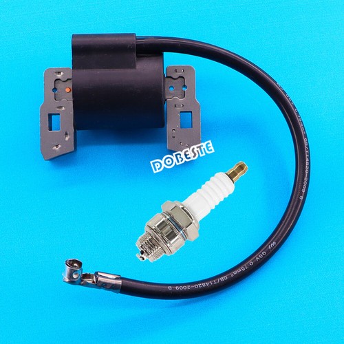 Ignition Coil to Eliminate Points for Briggs & Stratton 397358 395491 ...