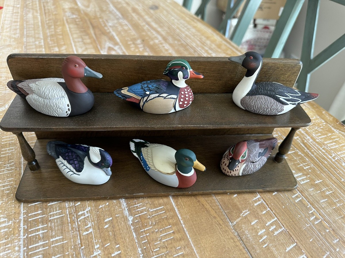 Avon Duck Collection