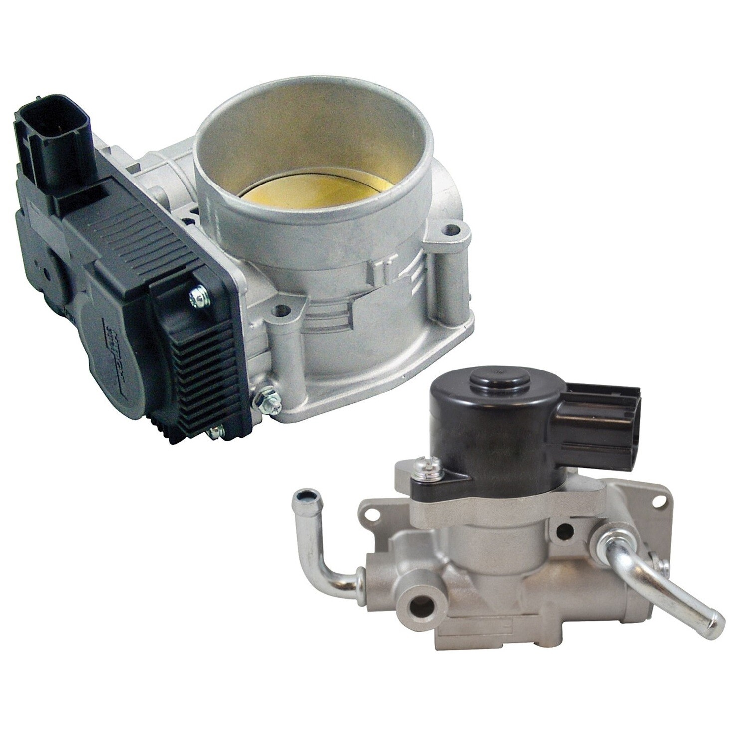 Hitachi Fuel Injection Throttle Body & Idle Air Control Valve Kit For ...