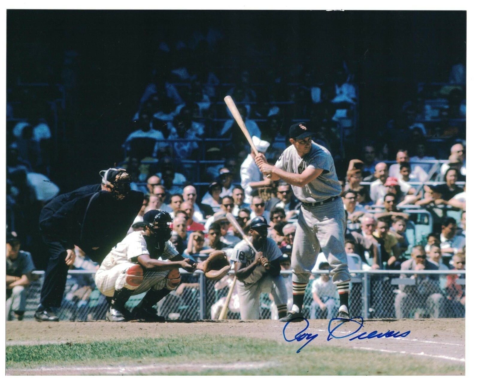 Roy Sievers Signed Autographed 8x10 Photo St. Louis Browns Washington ...