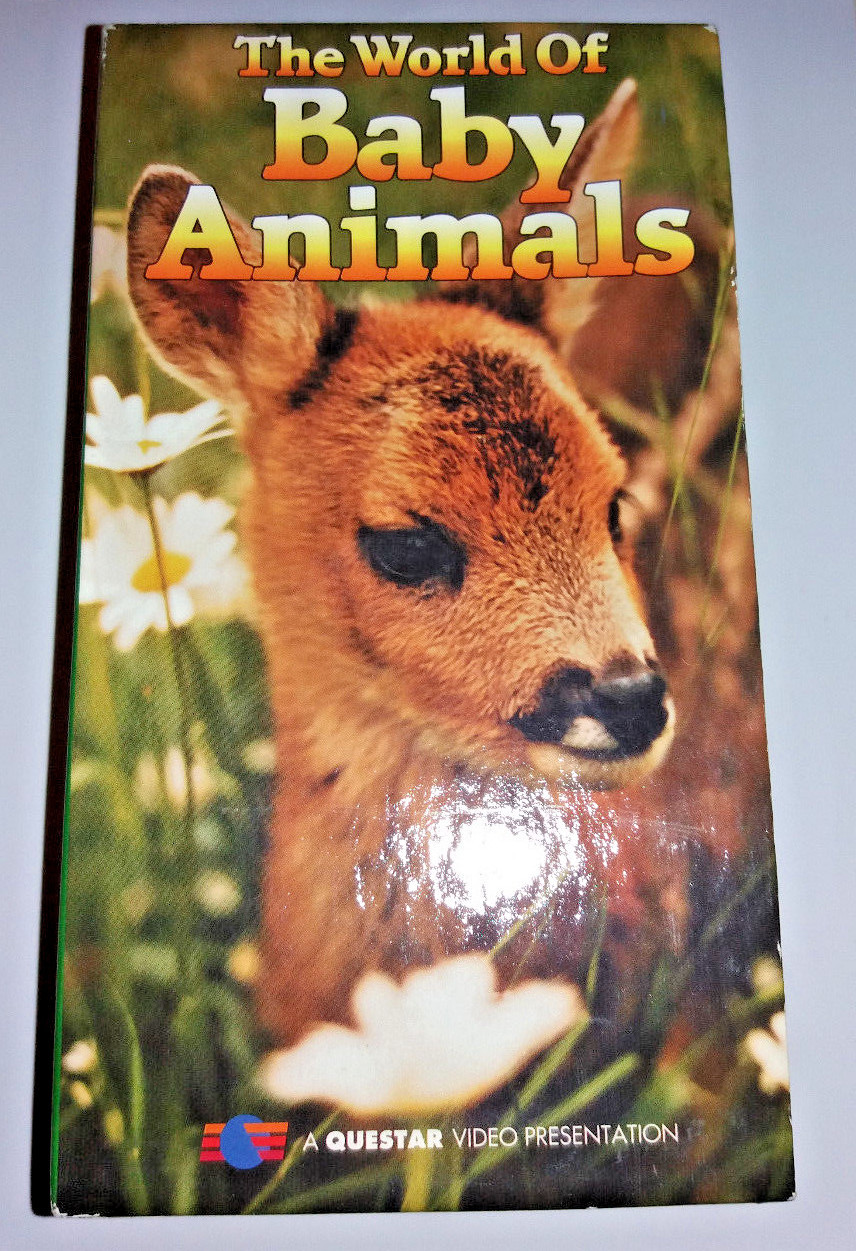 Real Animals Vhs