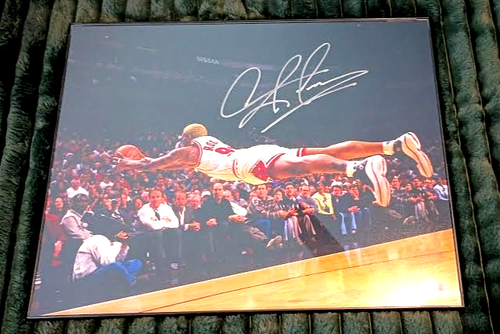 Autographed/Signed Dennis Rodman Chicago Bulls 16 x 20 Photo Framed ...