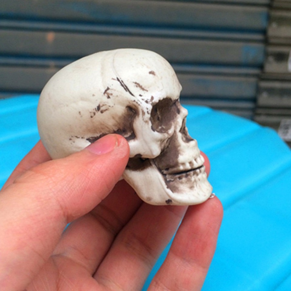 32 Pcs Halloween Scary Props Small Skulls Tiny Skull Model Decor for ...