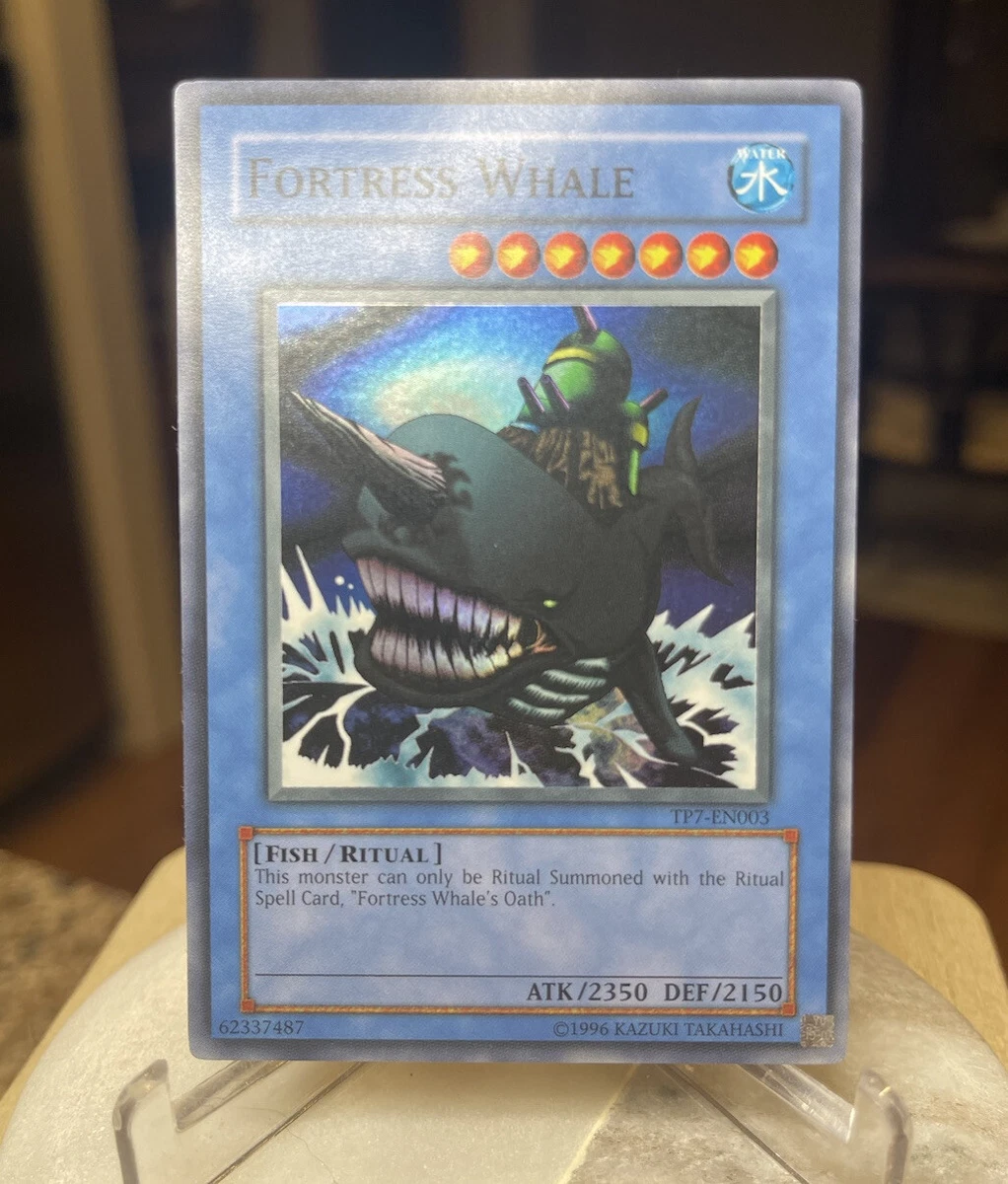 Fortress Whale