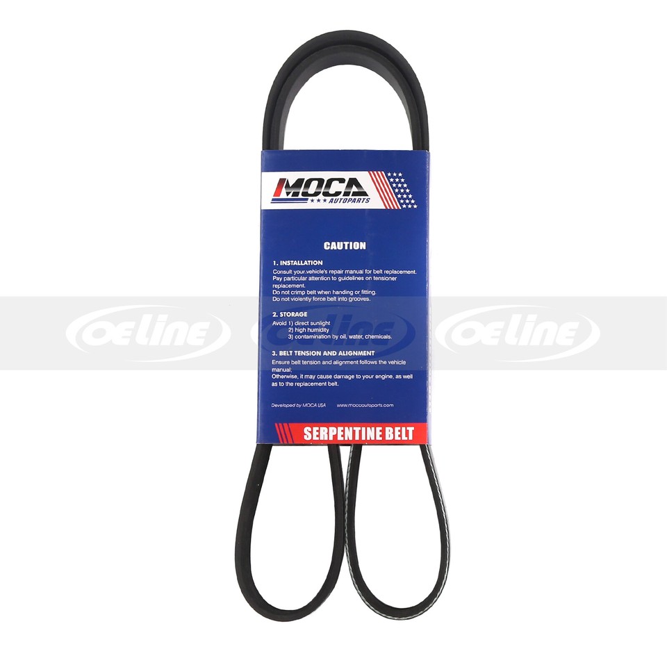 For 2000-2004 Ford Focus 2.0L L4 Timing Belt Kit EPDM Serpentine Belt ...