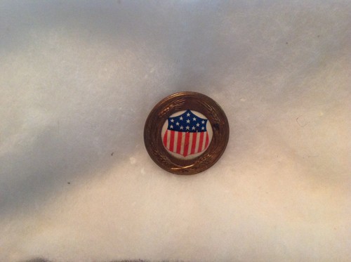 1800's 13 Star Flag Enamel & Brass Pin back Button | eBay